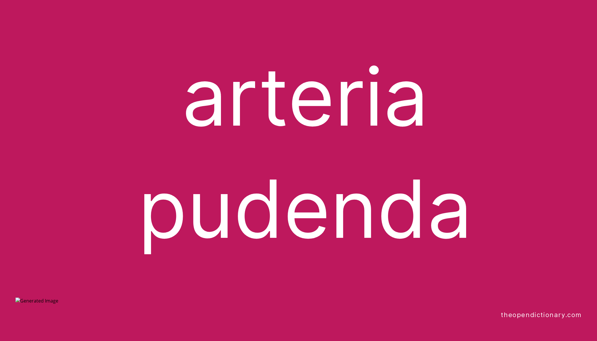 ARTERIA PUDENDA - The Open Dictionary