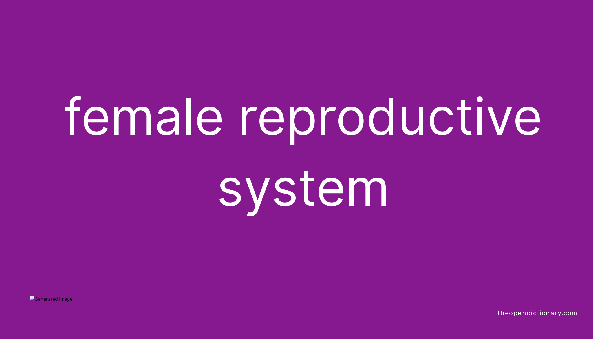 Female reproductive system | Meaning of Female reproductive system ...