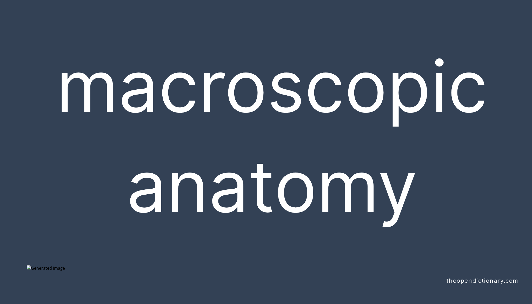 MACROSCOPIC ANATOMY - The Open Dictionary