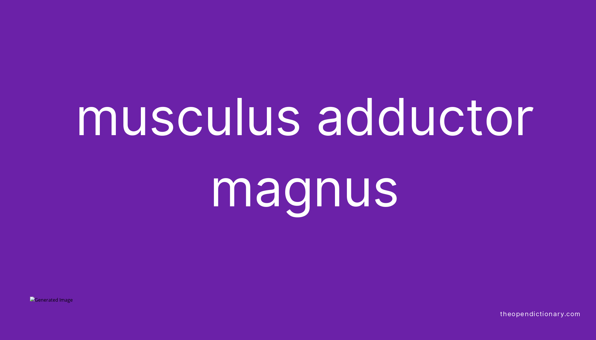 Musculus adductor magnus | Meaning of Musculus adductor magnus ...