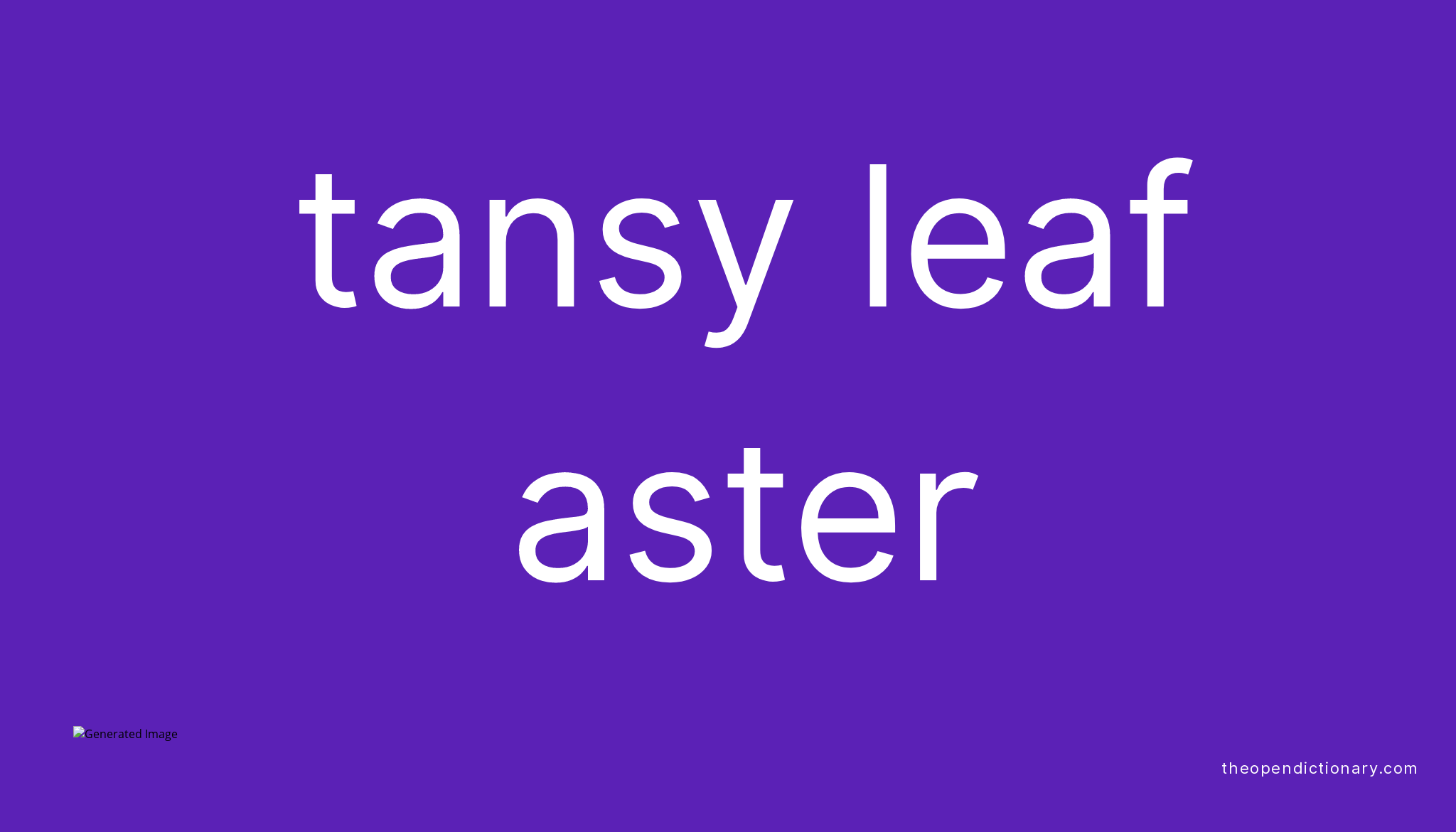 TANSY LEAF ASTER - The Open Dictionary
