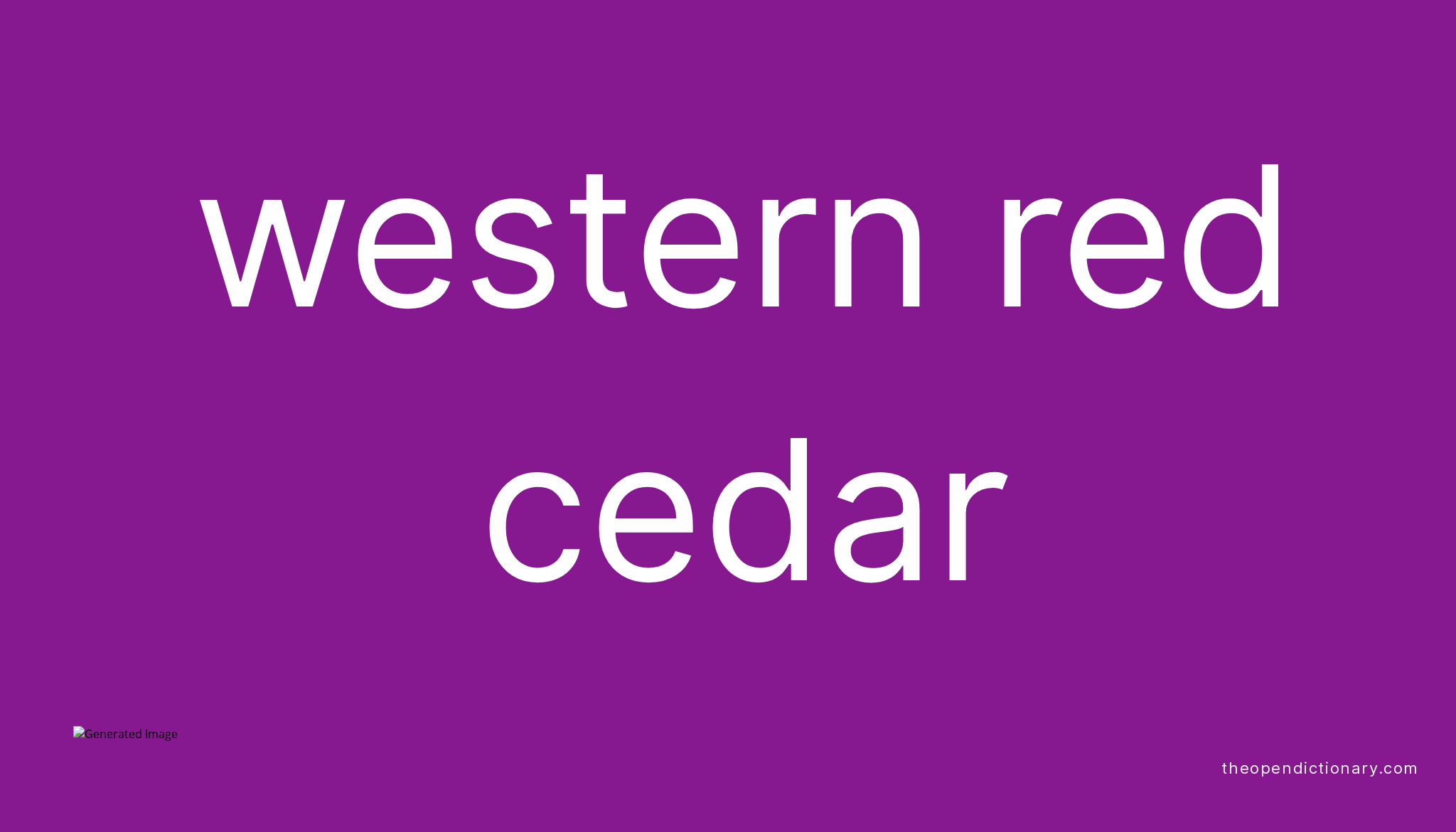 Western red cedar | Meaning of Western red cedar | Definition of ...